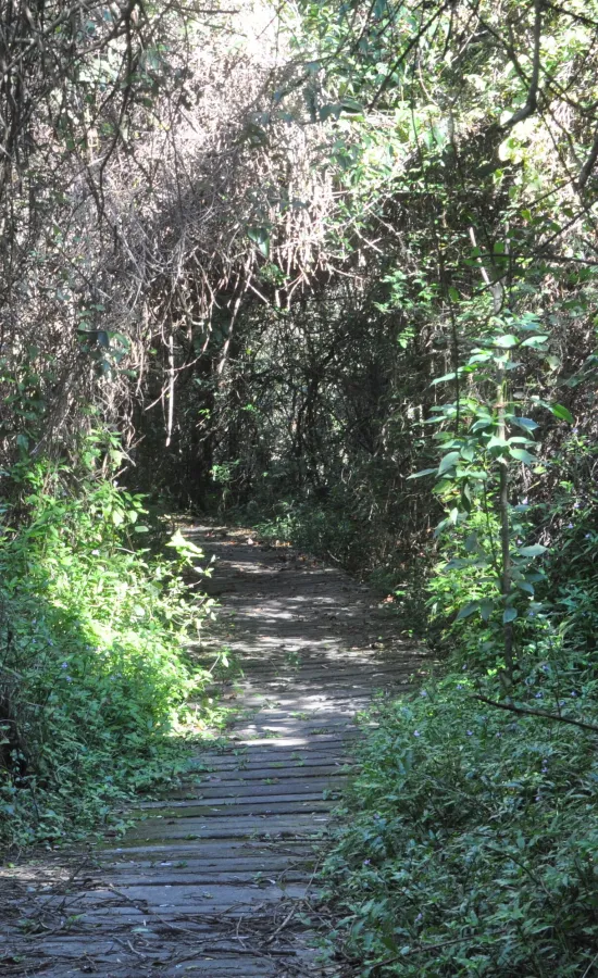 Reserva Natural Punta Lara | Bafilma