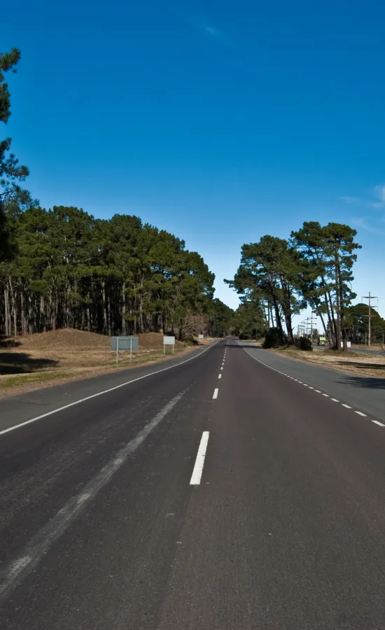 Ruta Provincial 11 (Interbalnearia) - Acceso a Cariló | Bafilma