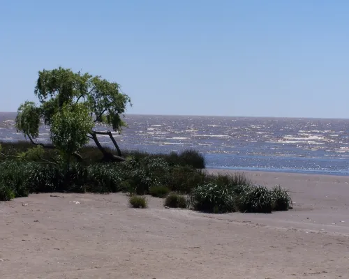 Playas de Punta Lara | Bafilma