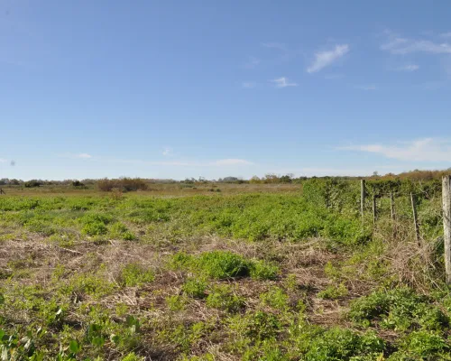 Reserva Natural Punta Lara | Bafilma