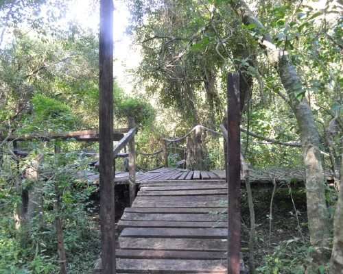 Reserva Natural Punta Lara | Bafilma