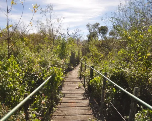 Reserva Natural Punta Lara | Bafilma