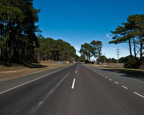 Ruta Provincial 11 (Interbalnearia) - Acceso a Cariló | Bafilma