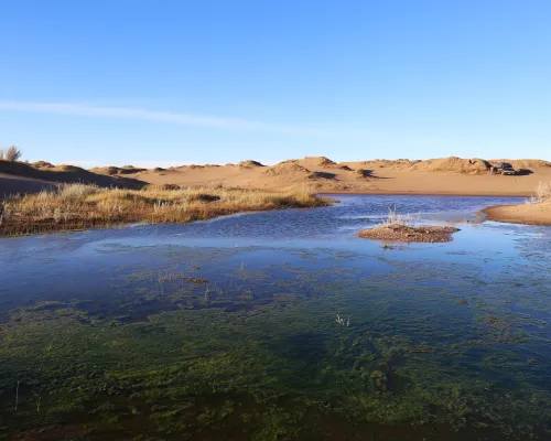 Medanos blancos | Bafilma